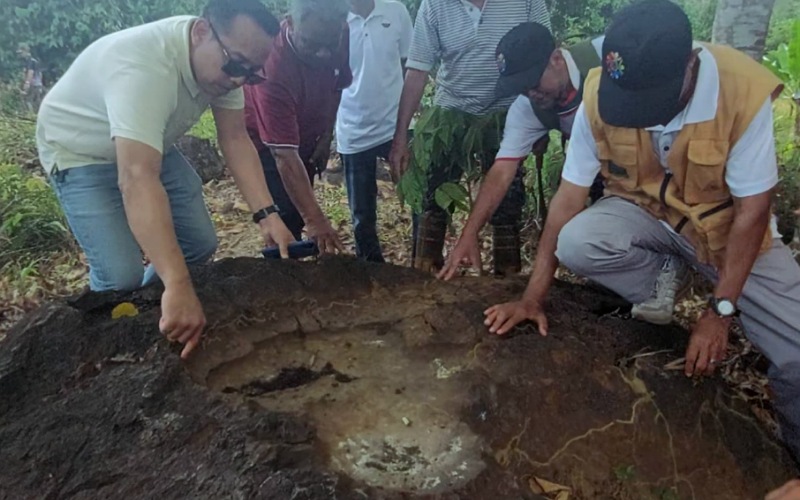 Tapak kaki 'gergasi' ditemukan di Bukit Sagu - THE MALAYSIA PRESS